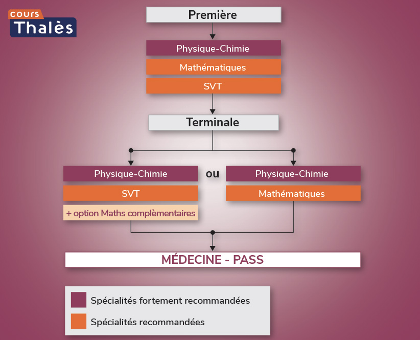 Quelles spécialités choisir au lycée pour faire médecine